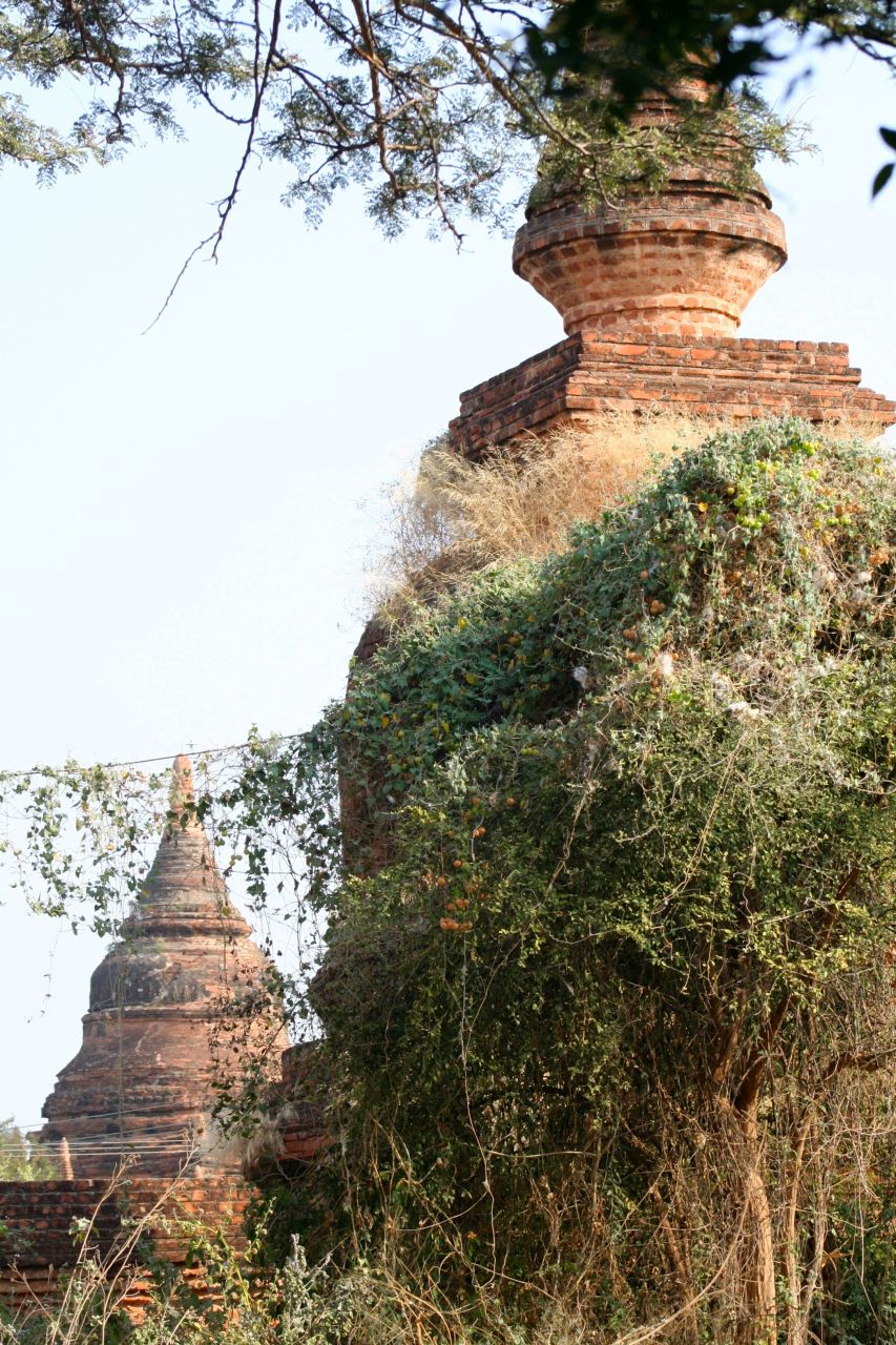 Myanmar – Meg Noble Peterson